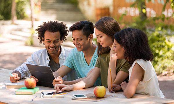 Our Services - 366 DigitX